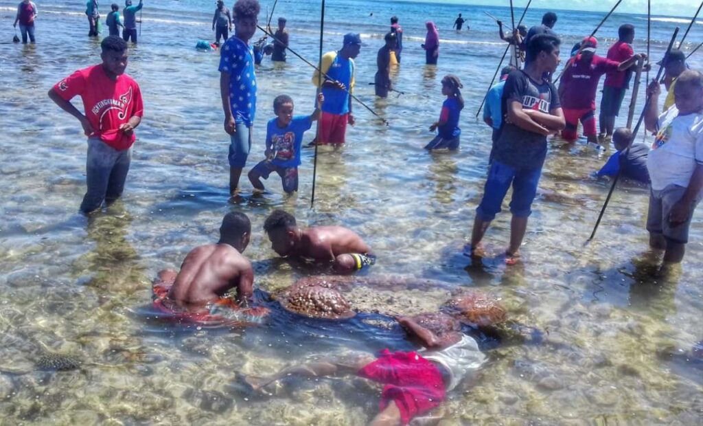 10 Upacara Adat Papua Lengkap dengan Keunikan dan Filosofinya