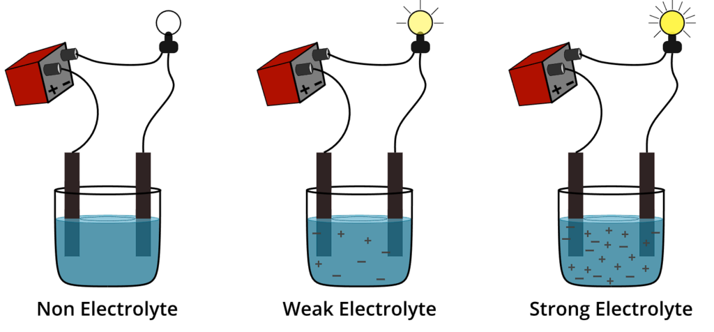 Perbedaan Larutan Elektrolit dan NonElektrolit dengan Contoh